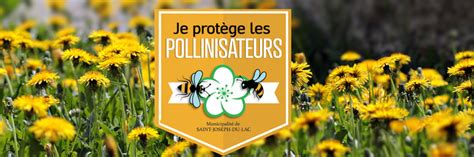 Services Municipaux Environnement Initiatives Je Protège Les
