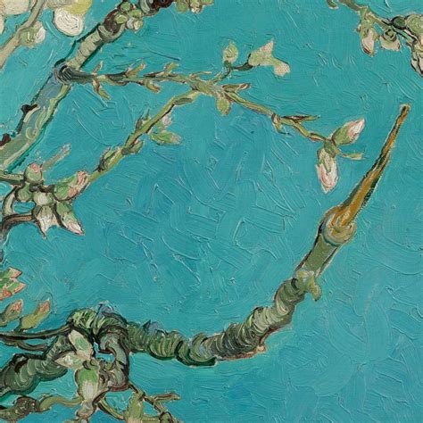 Almond Blossom By Vincent Van Gogh Dailyart Magazine