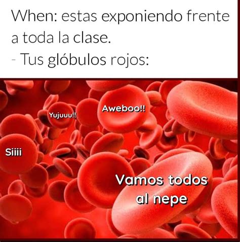 🙈🫣🤭 Regreso A Clases😁 Sex Shop Sexy Toys Facebook