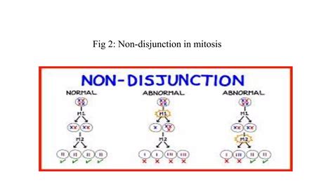 Polyploidy Mutation And Hybridization With Reference To Medicinal