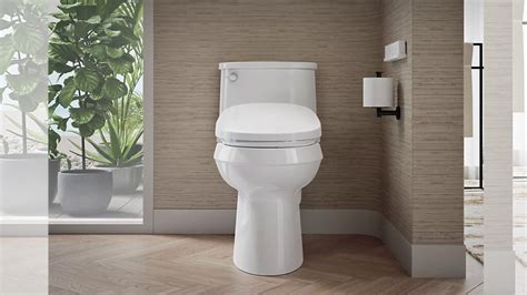 Kohler Purewash E860 Dual Wand Bidet Toilet Seat Is For Women