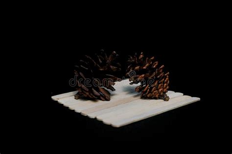 Two Pincone On Ice Cream Stick Stock Image Image Of Pattern