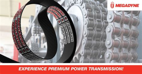 Anitha Joseph On Linkedin Megasync™ Titanium