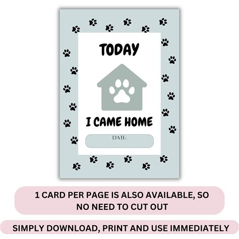 Puppy Milestone Cards Printable Pet Milestone Cards This Set Etsy