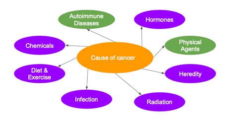 Mutation Mind Map 16 Koleksi Gambar