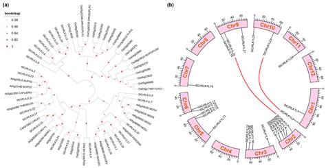 How To Draw Circle In Bootstrap