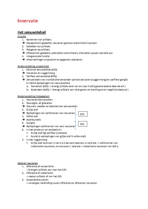 Innervatie Samenvatting Functionele Anatomie Warning Tt Undefined