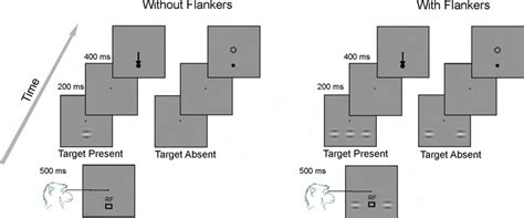 The Contrast Detection Task The Monkeys Performed A Contrast Detection