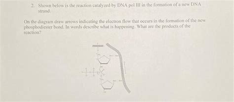Solved 2 Shown Below Is The Reaction Catalyzed By Dna Pol