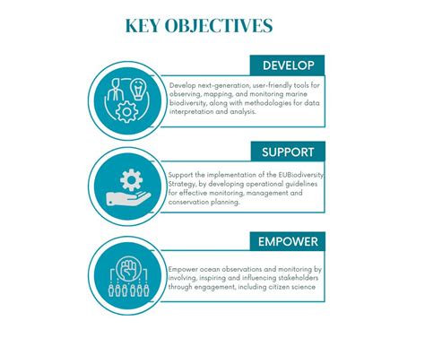 Nemo Tools Project On Linkedin Nemo Tools Is A 2 Year Project