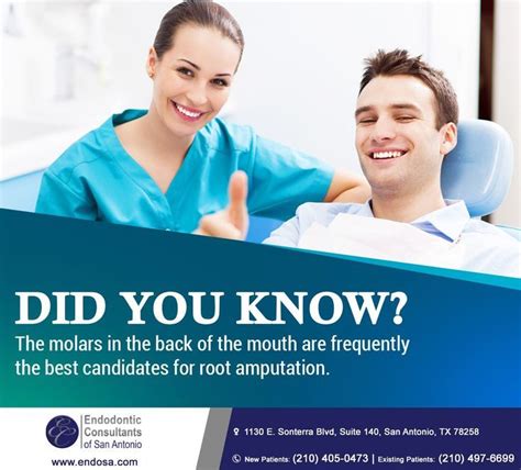 Root Amputation Is A Specialized Dental Procedure To Remove A Root From