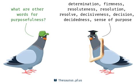 More 210 Purposefulness Synonyms Similar Words For Purposefulness
