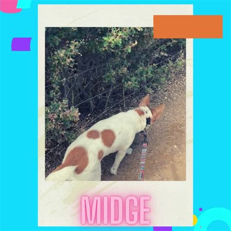 Make Data Useful On Linkedin Behind The Scenes Midge