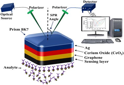 Sensor Diagram For The Detection Of Creatinine In The Blood Sample