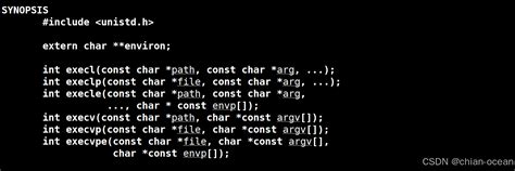 从理论到实践：linux 进程替换与 exec 系列函数 csdn博客