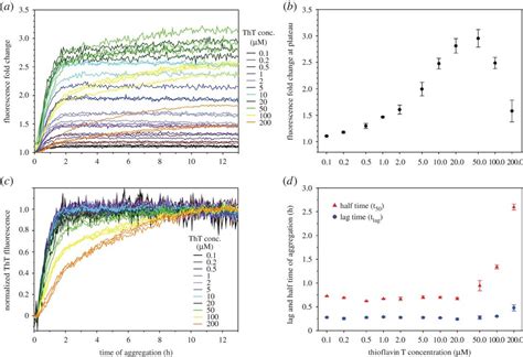 Thioflavin T As An Amyloid Dye Fibril Quantification Optimal Concentration And Effect On