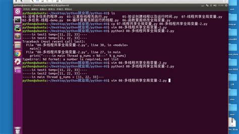 Python编程 网络编程 线程 多线程共享全局变量 args参数 YouTube