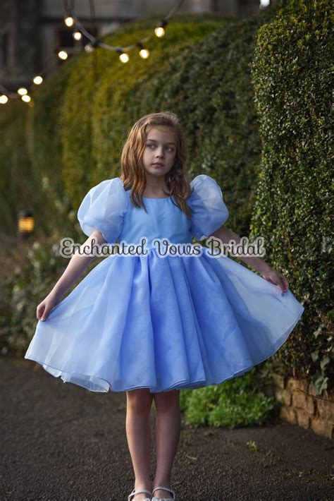 Gorgeous Blue Puff Sleeve Flower Girl Dress Bridesmaid Dress