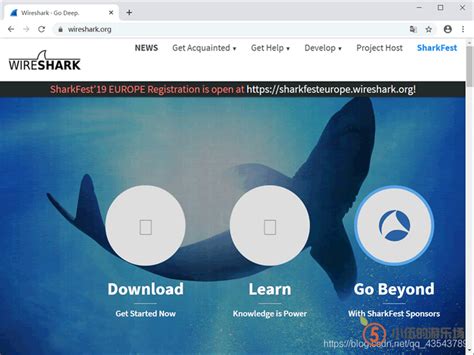网络抓包工具wireshark下载安装and使用详细教程 知乎
