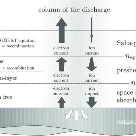 Schematic Of The Different Model Zones The Cathode The Space Charge