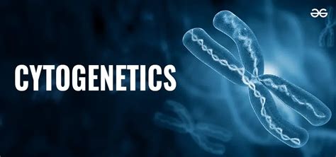 Chromosome Cytogenetics Modern Molecular Cytogenetic Techniques In