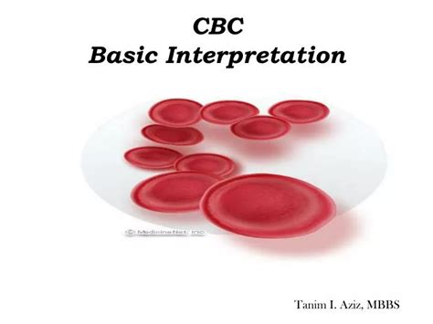 CBC Basic Interpretation PDF Anemia White Blood Cell 58 OFF