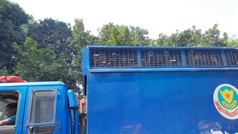 পুলিশ ভ্যানে আটক নেতাকর্মী দেখেই উত্তেজনা তিন বাস ভাঙচুর