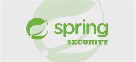 Top Web Security Frameworks Spring Security Vs Apache Shiro