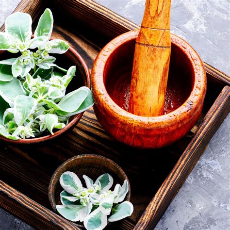 ხალხური მედიცინა Home