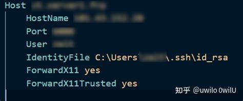 windows vs code remote x11 cant get display while connecting to