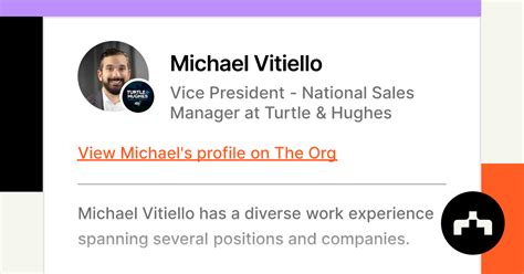Michael Vitiello Vice President National Sales Manager At Turtle