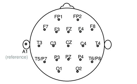 Eeg Electrode Array Download Scientific Diagram