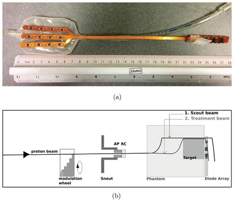 a the silicon diode array on a standard endorectal balloon next to a