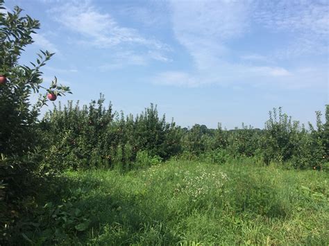 Assignment 2 Welcome To My Site