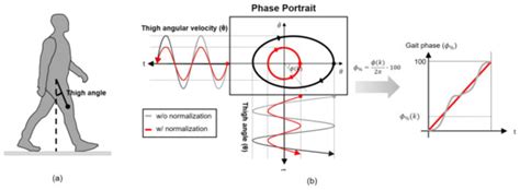 Sensors Free Full Text Walking Speed Adaptive Gait Phase Estimation