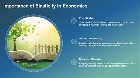 understanding elasticity key to pricing and demand strategy ppt