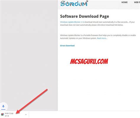 How To Turn Off Windows 10 Updates Permanently Mcsaguru