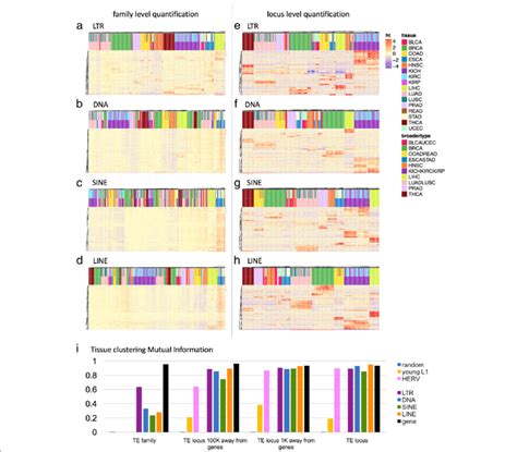 Tissue Clustering Based On Transposable Elements Heatmap Showing The Download Scientific