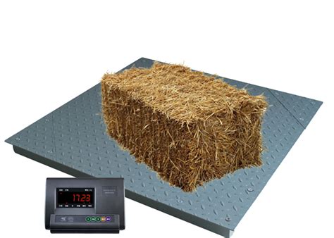 Heavy Duty Industrial Floor Scale With Lcd Indicator