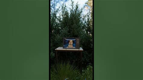 Как сделать видео текстуру в Blender Blender Blender3dartist 3d Youtube