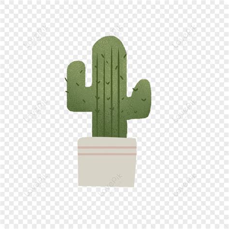 화분에 심은 선인장 Png 일러스트 무료 다운로드 Lovepik