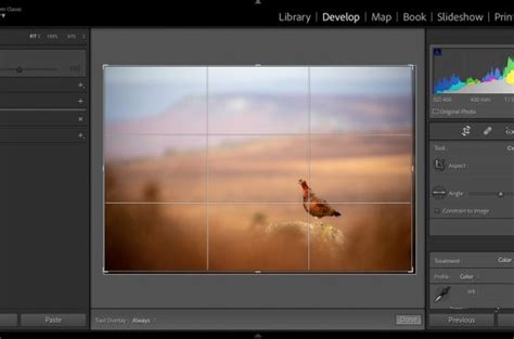 nikon dslr error codes meanings and fixes nature ttl