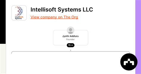 Intellisoft Systems Llc The Org