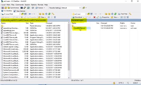 How To Host Aspnet Core On Linux Using Nginx Ampd