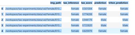 Converting Etlt File To Engine For Jetson Tao Toolkit Nvidia