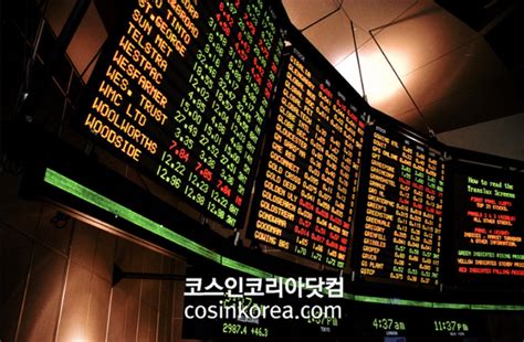 경영진 횡령 배임 문제 스킨앤스킨 코스닥 상장폐기 위기