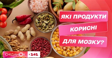 ТОП 5 продуктов для мозга что стоит включить в свой рацион — Страница