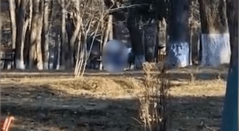 Refleqtmedia Iubirea Bat O Focul Doi Tineri Au Făcut Sex în Parc în Văzul Tuturor