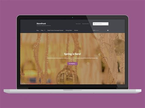 Neto ECommerce WordPress Theme Affapress