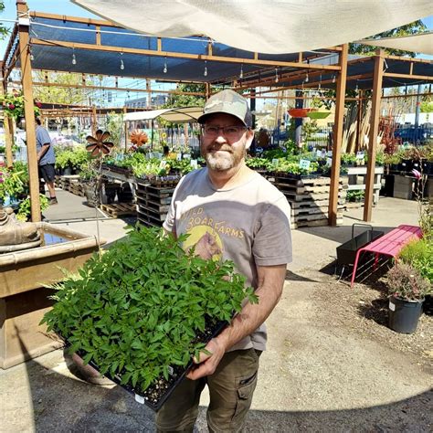 10 Superstar Perennials Of Late Summer The Plant Foundry